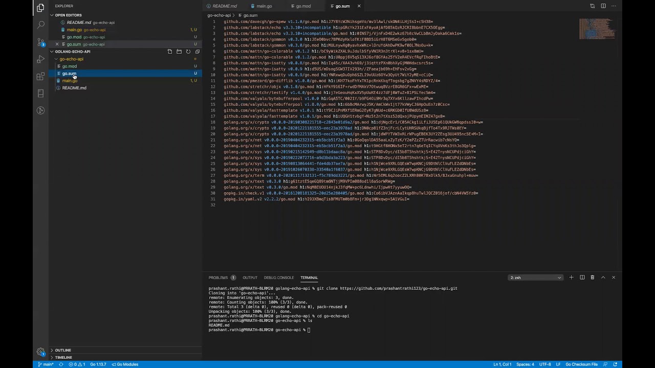 Deploy Go/Golang API on Heroku using Github