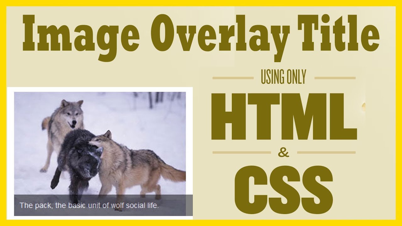 Hover Image Overlay Title in HTML & CSS Tutorial