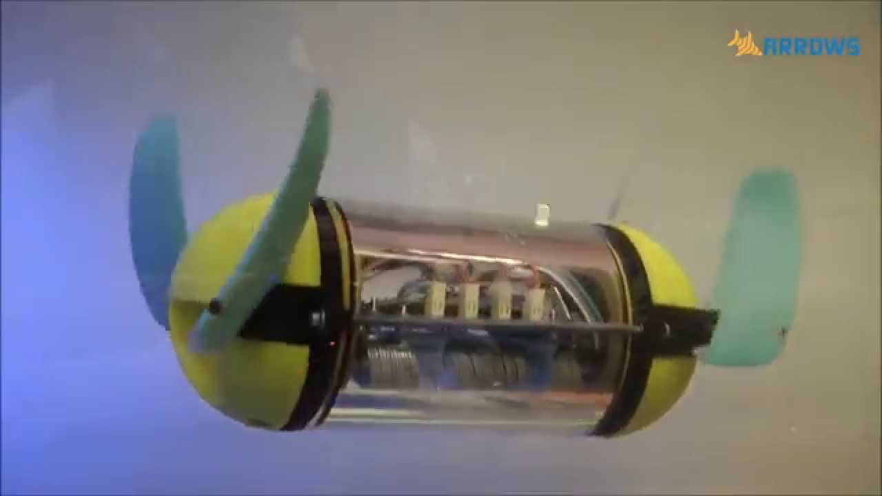 ARROWS Project, mid term statement