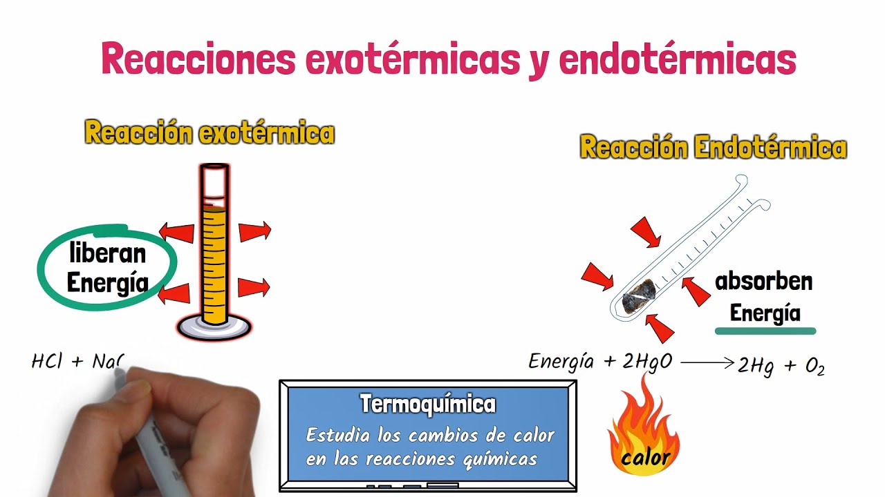 Exothermic and Endothermic Reactions