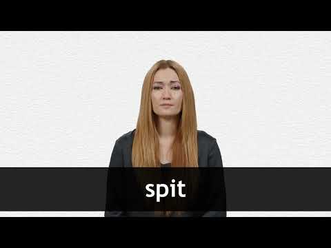SPIT - Definition & Translations | Collins English Dictionary