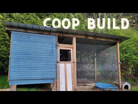 Building the Duck Coop