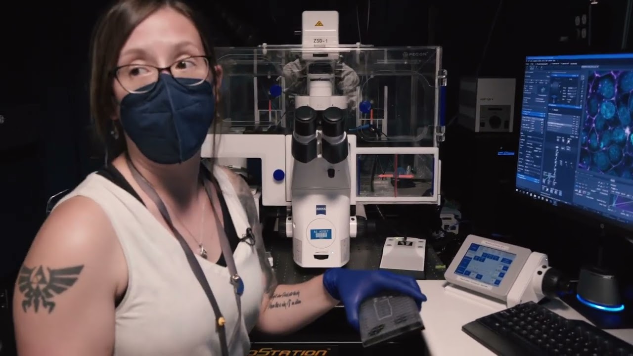 Look in the labs | Cell Science