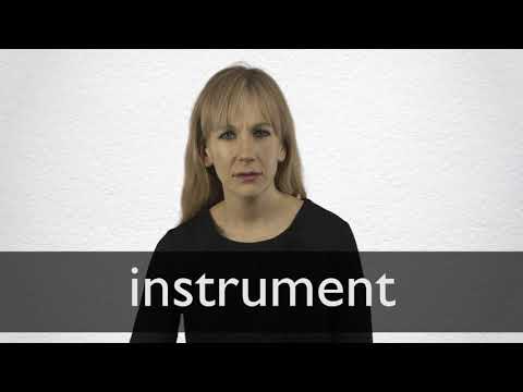 French Translation of “INSTRUMENT” | Collins English-French Dictionary