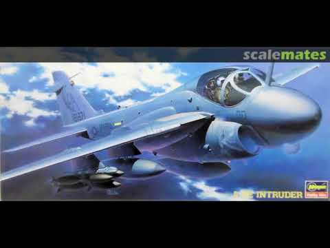 User Review: Hasegawa 1/72 A-6E Intruder