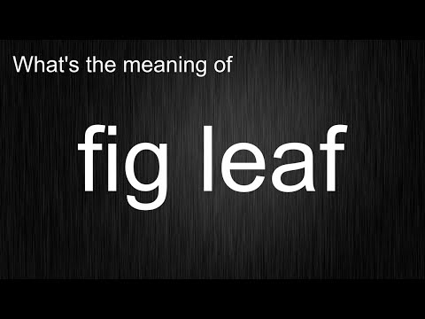 What's the meaning of "fig leaf", How to pronounce fig leaf?