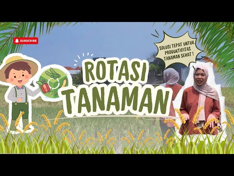 Rotasi tanaman : solusi tepat untuk produktifitas tanaman sehat !
