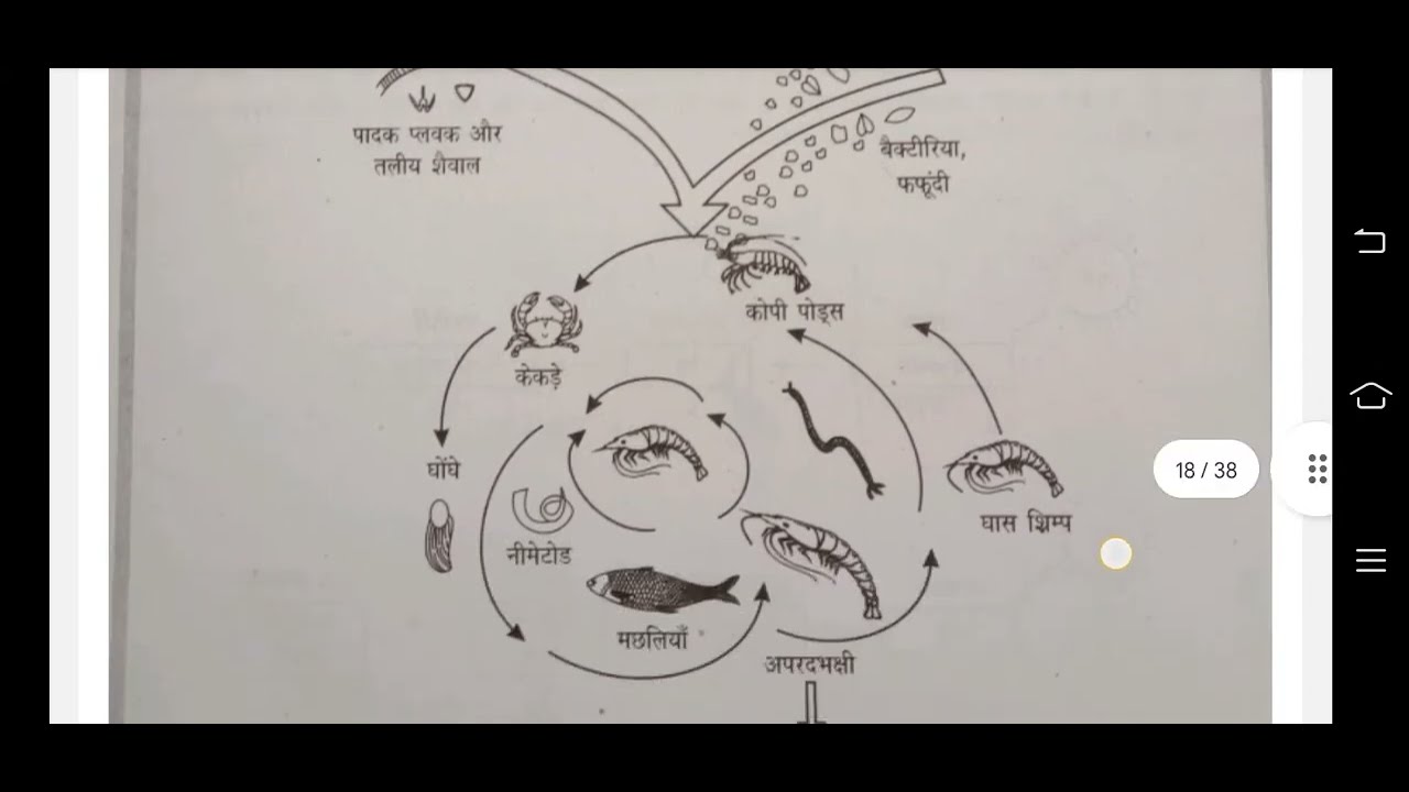Pdf in description evs