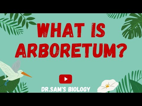 What is Arboretum?