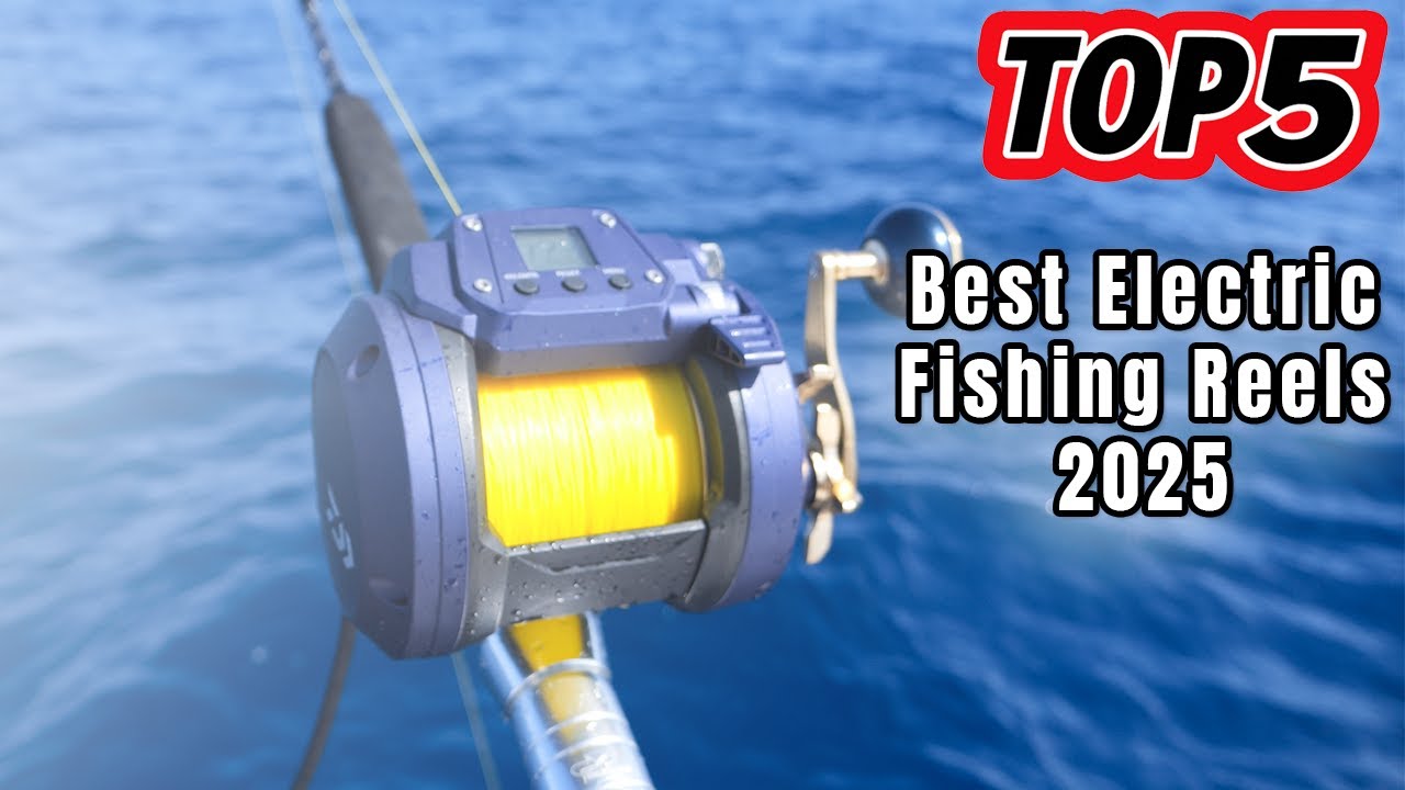 Best Electric Fishing Reels of 2026 | Top 5 Review & Buyer’s Guide