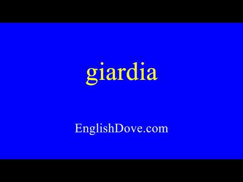 How to pronounce giardia in American English