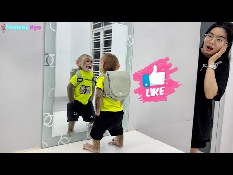Kyo was suddenly given a special gift - Her super cute reaction!