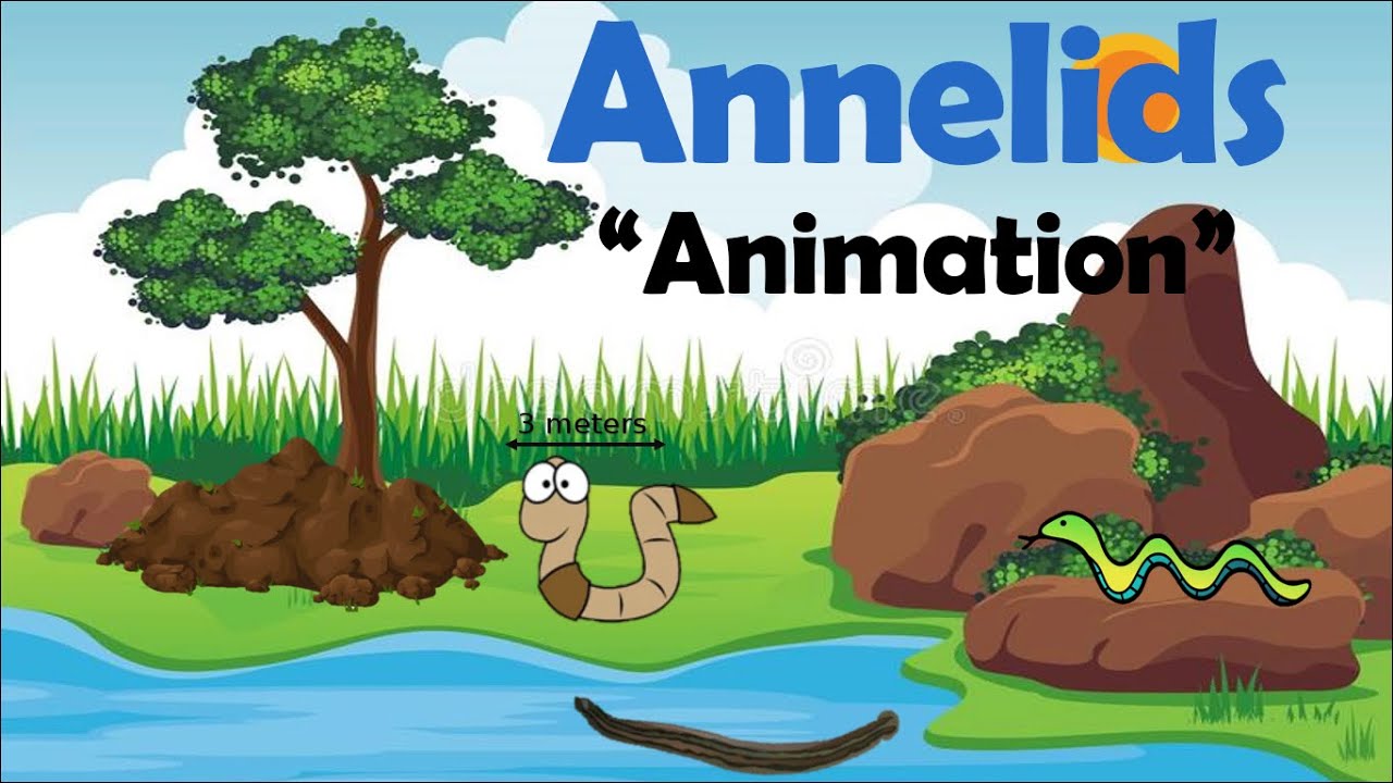 ANNELIDS | Biology Animation