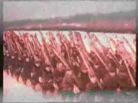 Introducing the Red Army