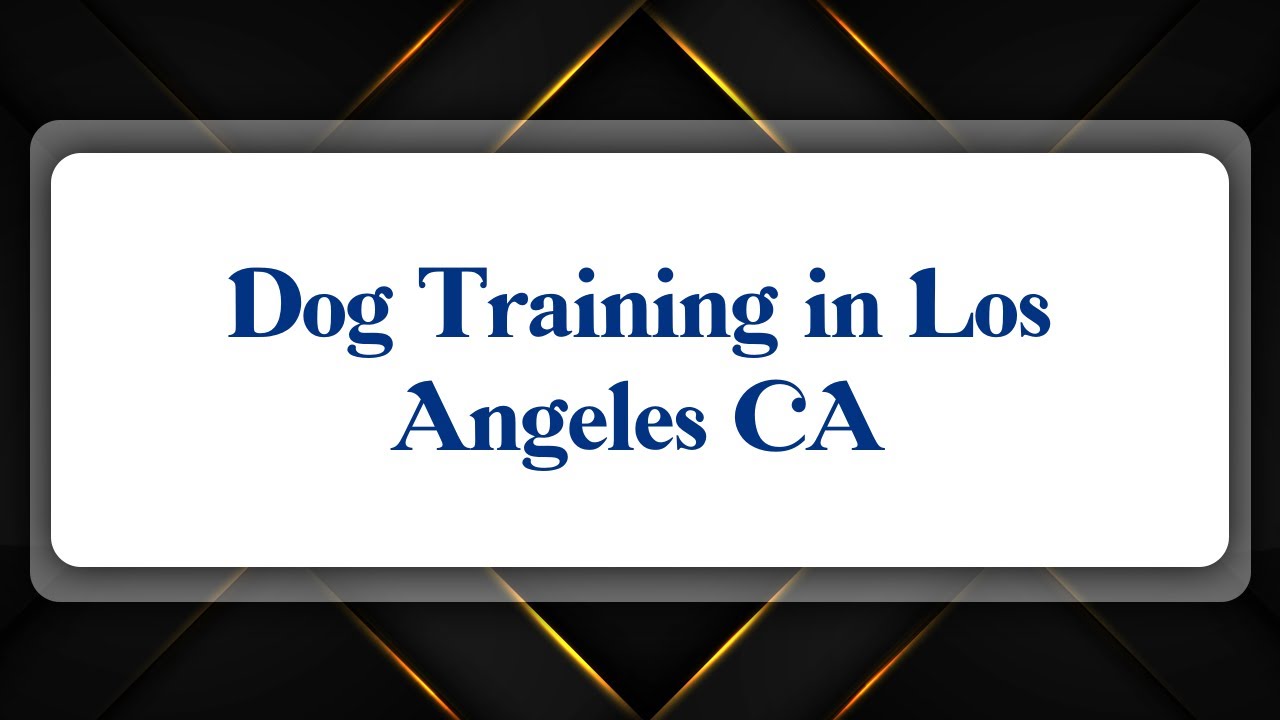 Top 10 Dog Training in Los Angeles, CA