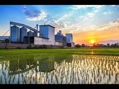 Rice Milling Machinery,Silky Rice Polisher,Rice Milling Machinery ...