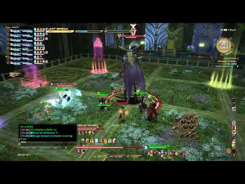 Let's Play Final Fantasy XIV- When the DDOS hits just right