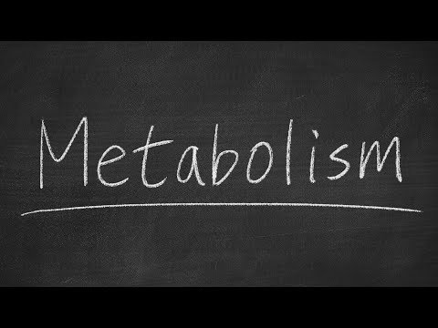 Do You Have a Slow or Fast Metabolism? Here's How to Calculate Your Metabolic Score