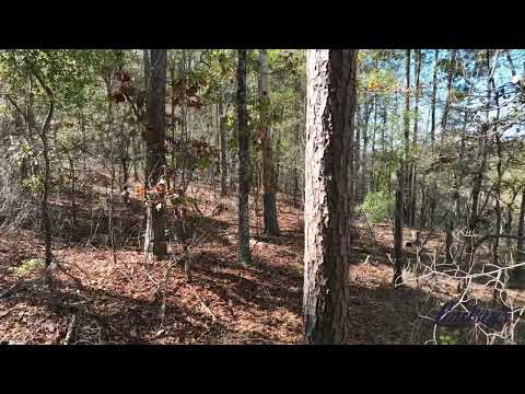 LAND - BUILDERS! 0 Walt Carmichael & Rex Hyde Roads Newnan, GA 30263