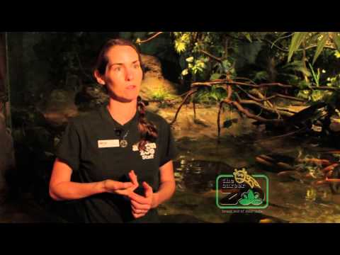 How to Land a Job at a Zoo