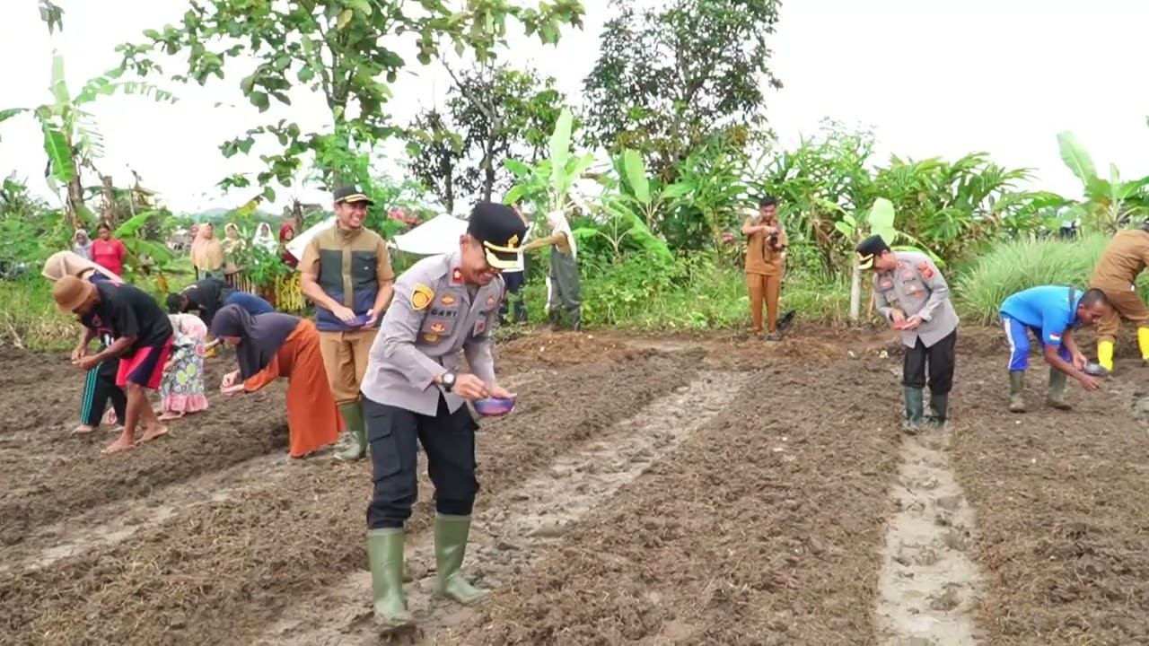 Polres Banjar Laksanakan Penanaman Bibit Jagung Dukung Swasembada Pangan