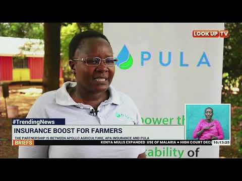 Apollo agriculture group has partnered with APA Insurance Company.