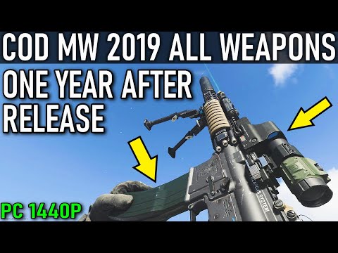 Steam Community :: Video :: COD MW 2019 - All Weapons - One Year After ...