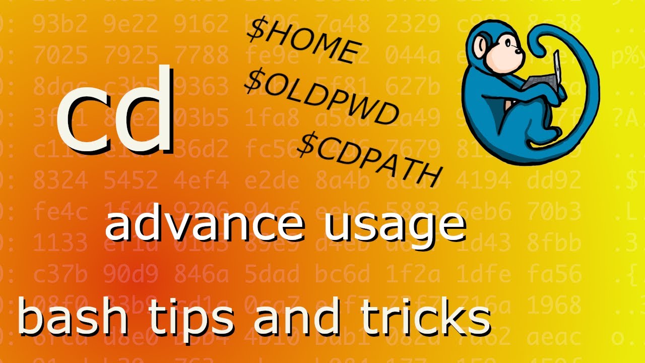 Advanced usage of the linux cd command - change directory tutorial