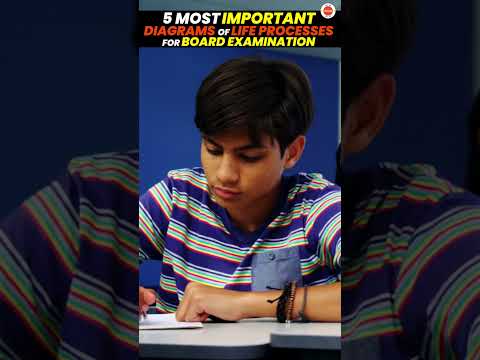 5 Important Diagram of Life Processes | Class 10 Science Biology | CBSE 2024 #LifeProcessesClass10