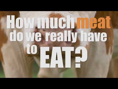 Meat: The Four Futures - Listen now!