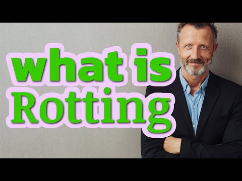 Rotting | Meaning of rotting π π π π π