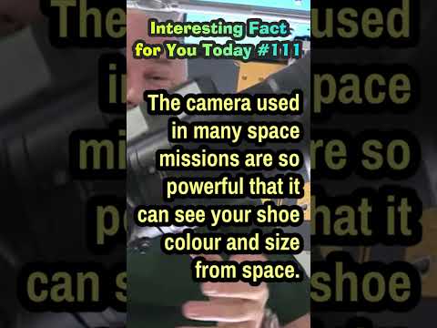 #shorts Interesting Fact for You Today #111