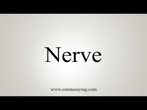 How To Say Nerve