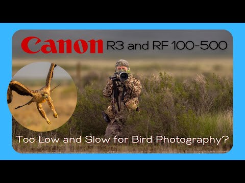 Canon R3 + RF 100-500mm for bird photography (4895C002)