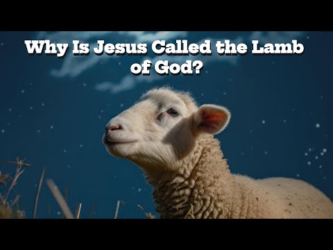 Why Is Jesus Called the Lamb of God? Unpacking Biblical Symbolism