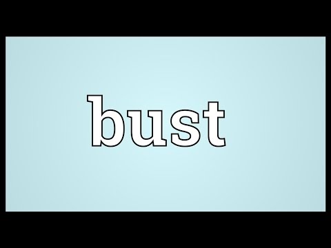 Bust Meaning