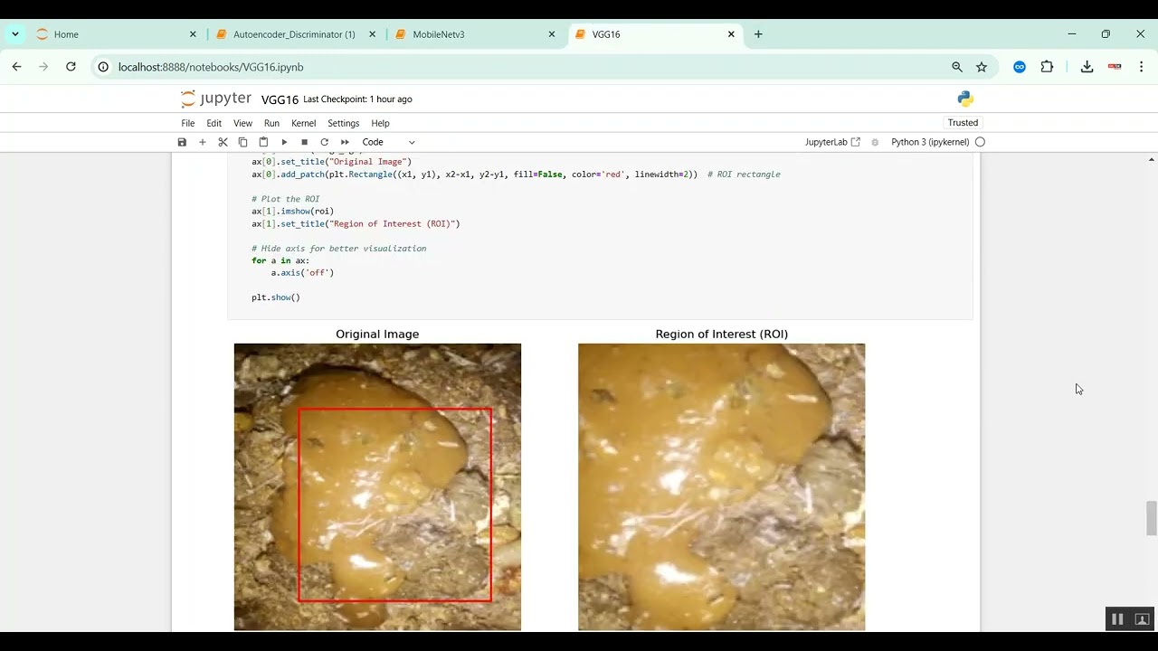 Chicken Disease Prediction in Python Projects