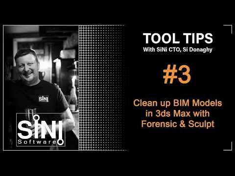 Tool Tip #3 - Cleaning up BIM models