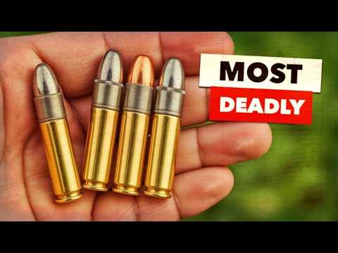 Why .22LR Is the MOST DEADLY Round in America!