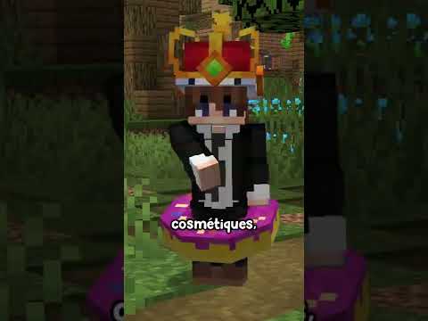Le MEILLEUR serveur OneBlock ! (play.hyping.fr)