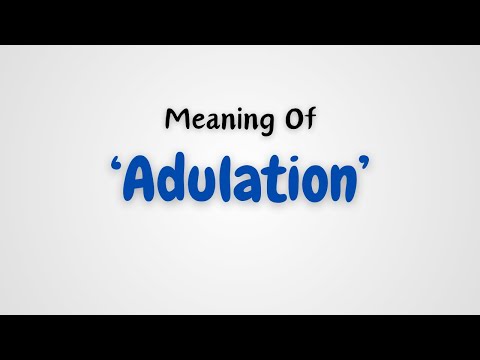 What is the meaning of Adulation?
