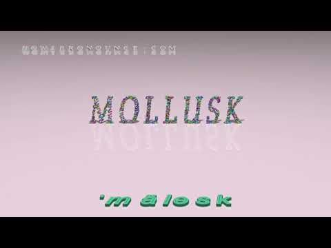 mollusk - pronunciation in British English (three voices / accents)