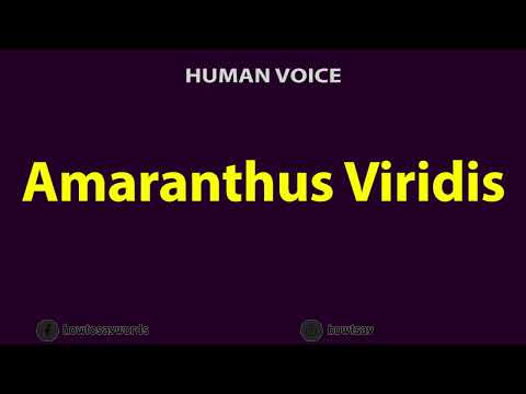 How to Pronounce Amaranthus Viridis