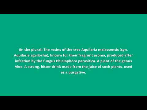 what is the meaning of aloe.