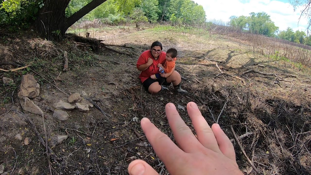 How to Identify Banded Water Snake