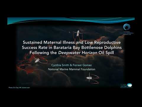 Sustained Maternal Illness and Low Reproductive Success Rate in Barataria Bay Bottlenose Dolphins