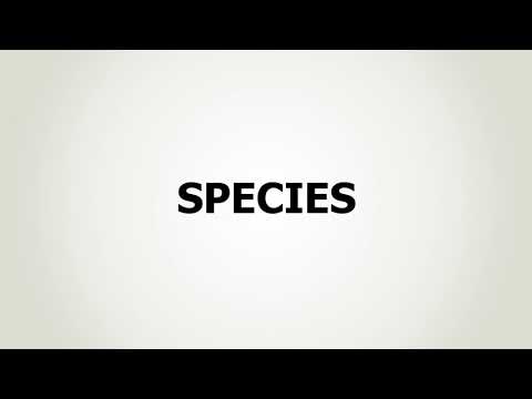 How to Pronounce Species