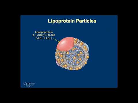 The New Emphasis of Lipoprotein Particles for Cardiovascular Risk Assessment