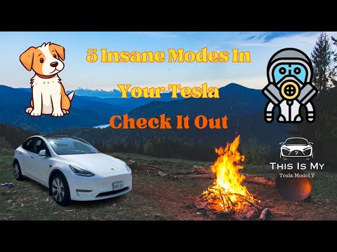 Tesla Model Y’s INSANE Features: Bioweapon Defense, Camp Mode, Dog Mode, and MORE!