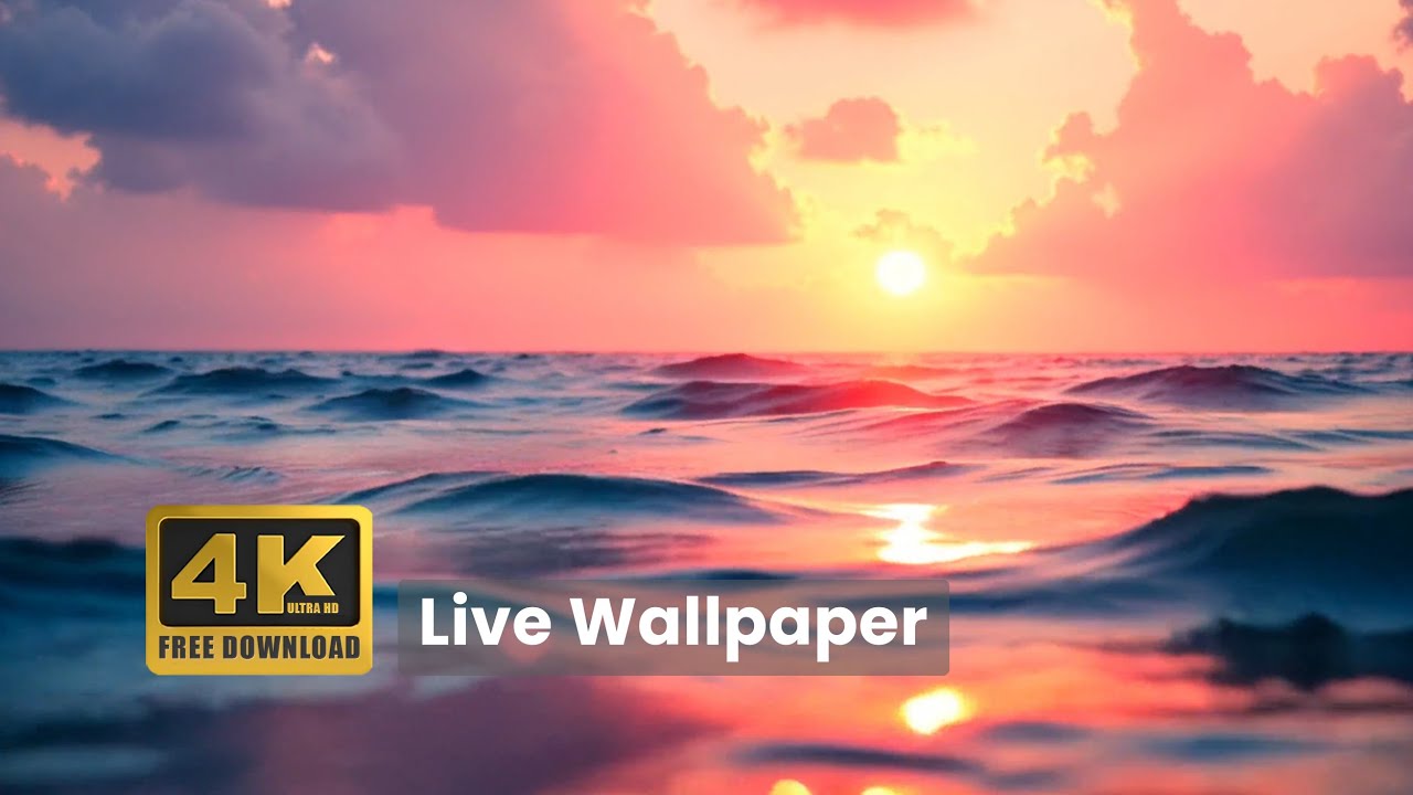 Live wallpaper Stunning Ocean Sunset | HD Background for PC & Laptop, 4K Copyright Free